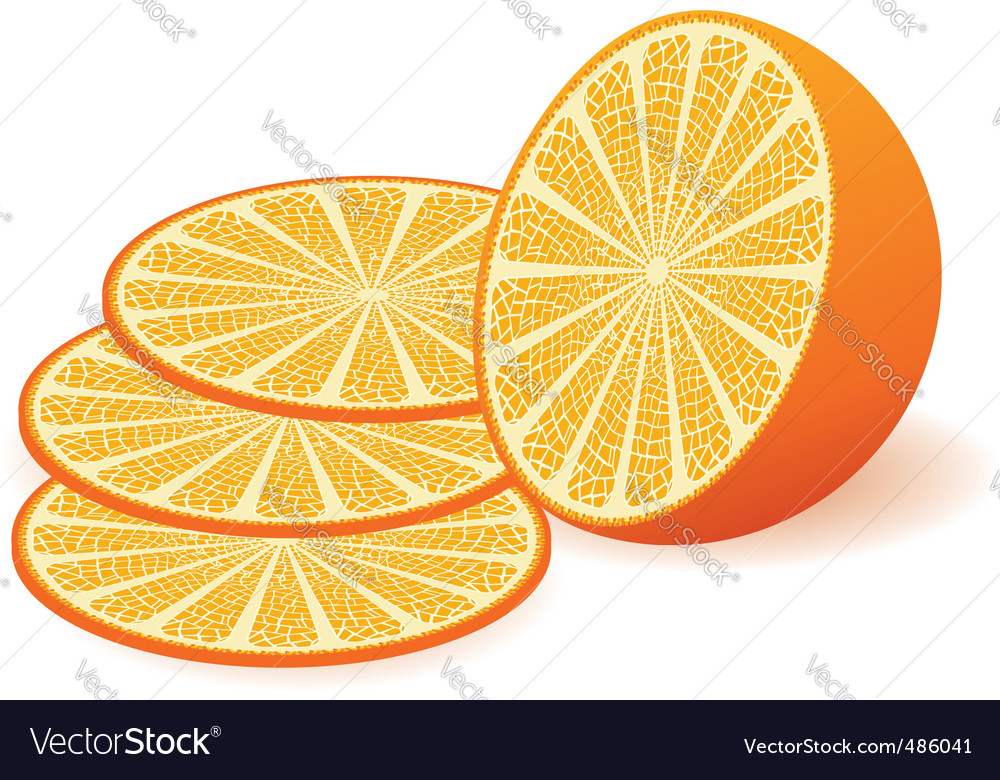 Orange Royalty Free Vector Image - VectorStock