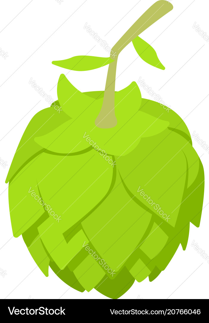 Beer hop icon isometric style Royalty Free Vector Image