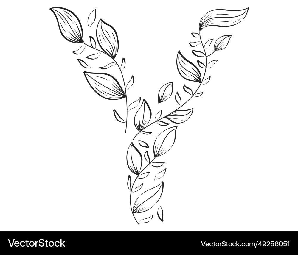 Botanical black and white doodle Royalty Free Vector Image