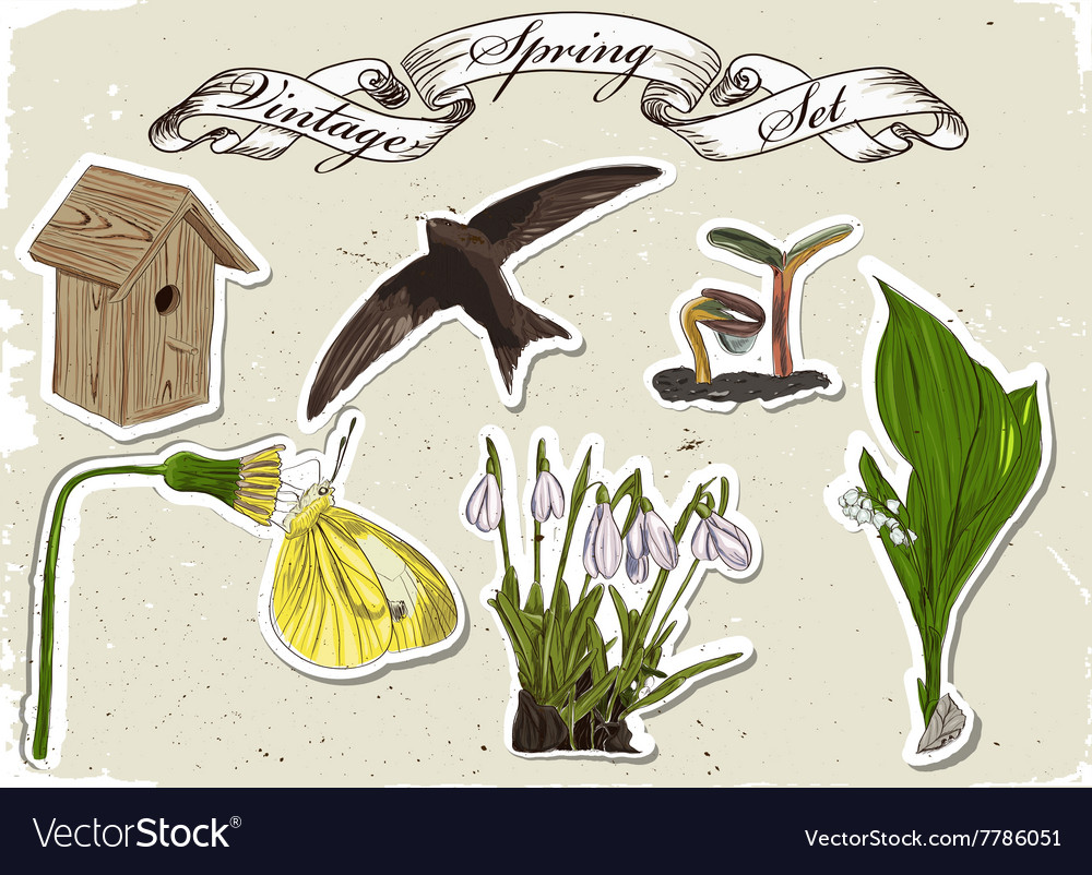 Vintage set of spring elements Royalty Free Vector Image