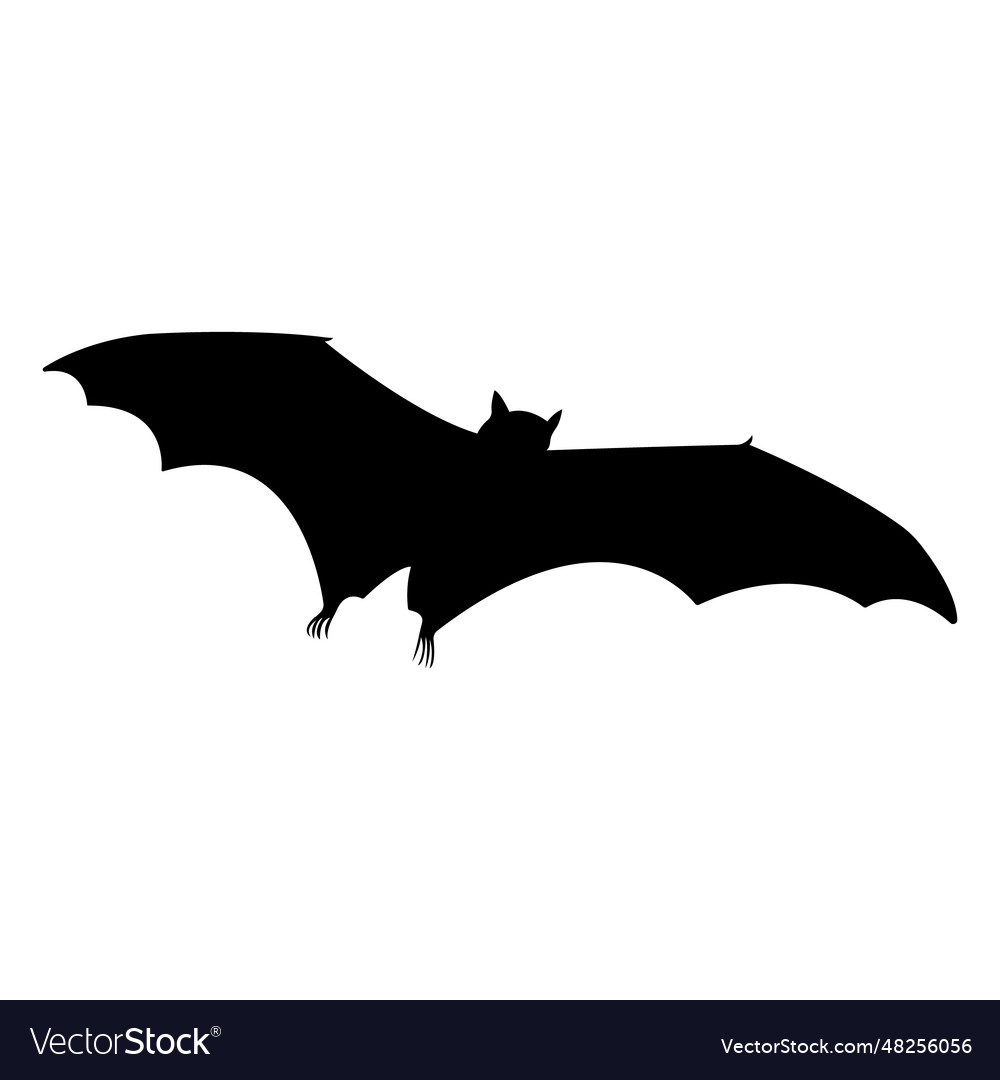 Bat Royalty Free Vector Image - VectorStock