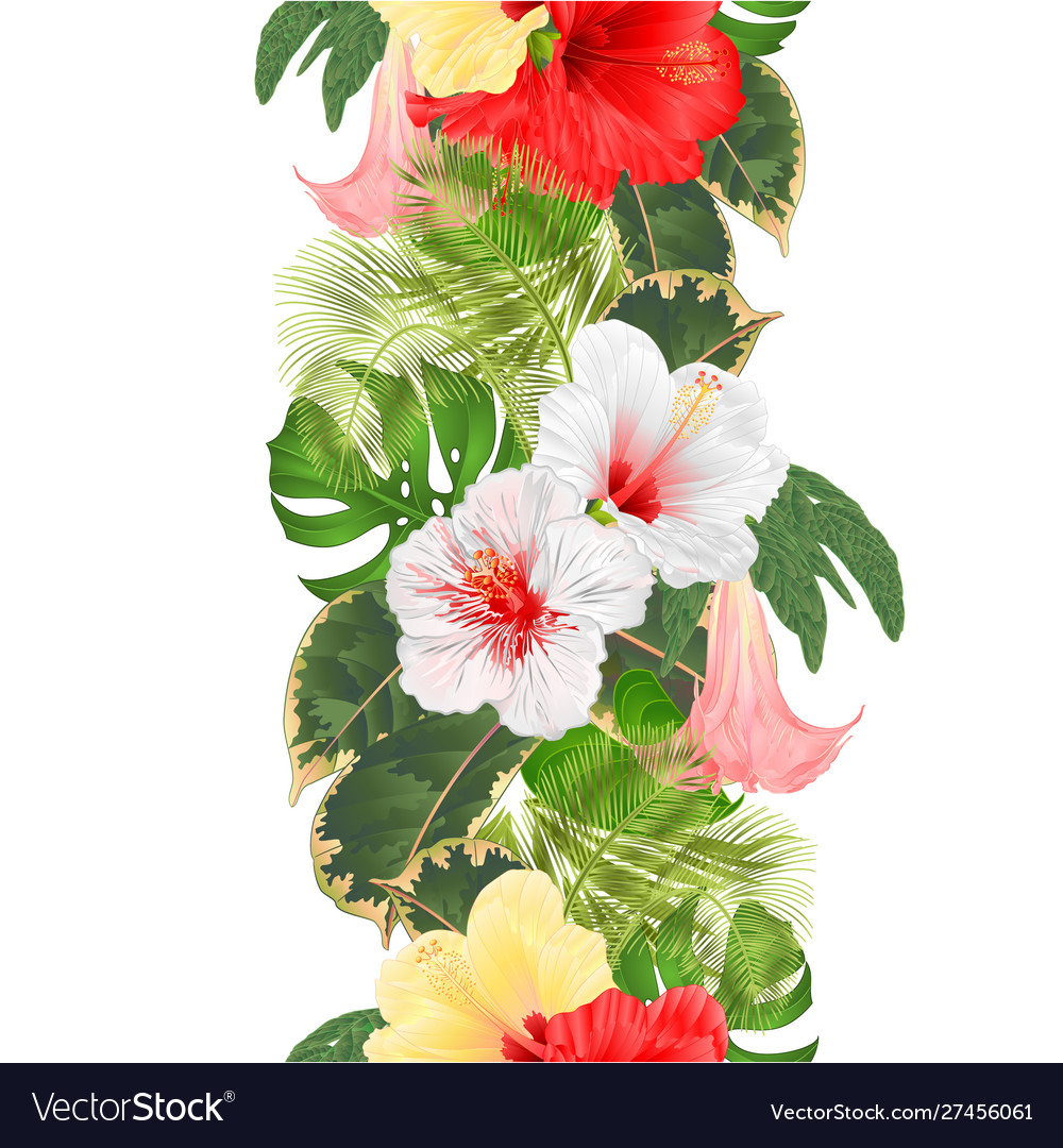Seamless border tropical flowers Royalty Free Vector Image Seamless border tropical flowers Royalty Free Vector Image