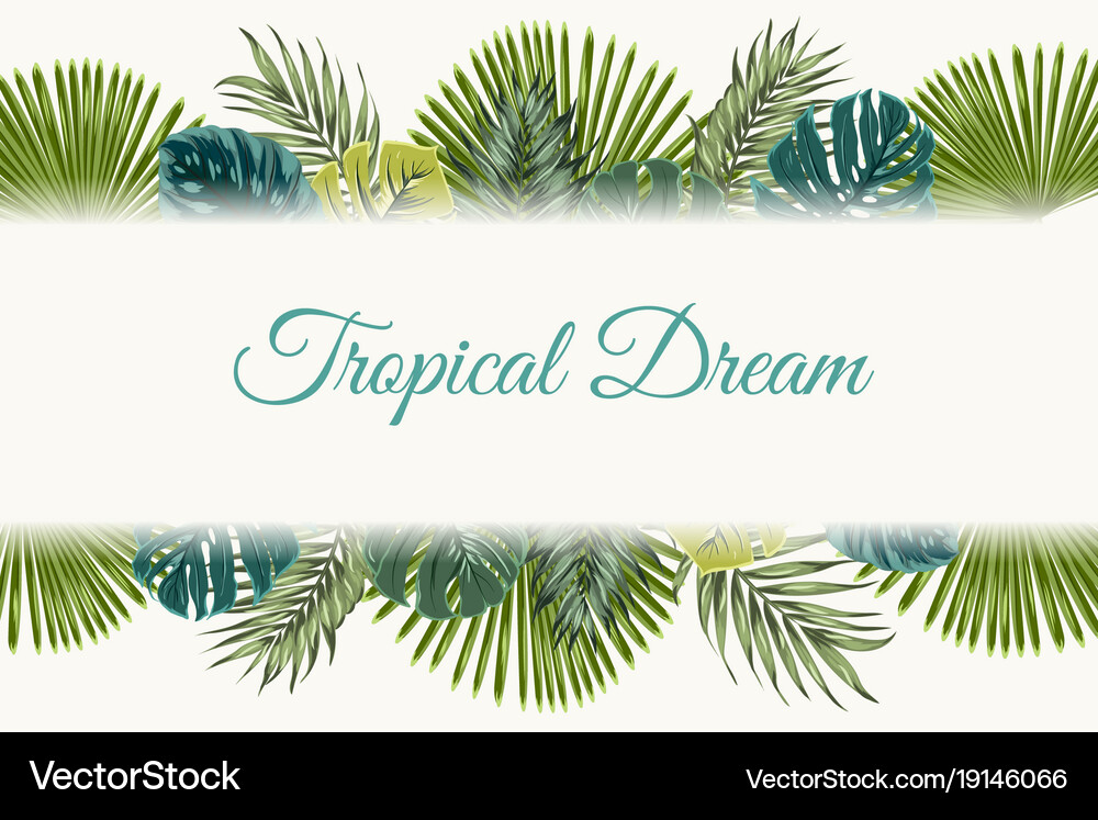 Exotic tropical leaves top bottom border frame Vector Image