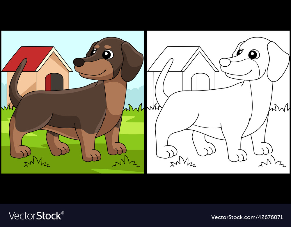Dachshund dog coloring page colored Royalty Free Vector