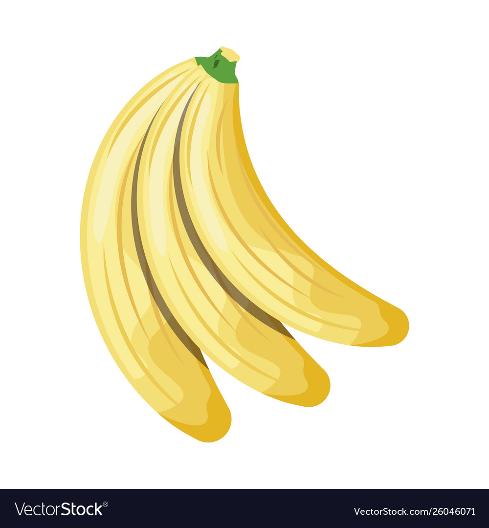 Fresh bananas fruits healthy isolated icons Vector Image