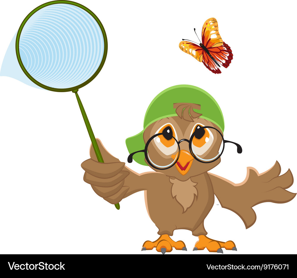 Owl catches butterfly bird and net Royalty Free Vector Image