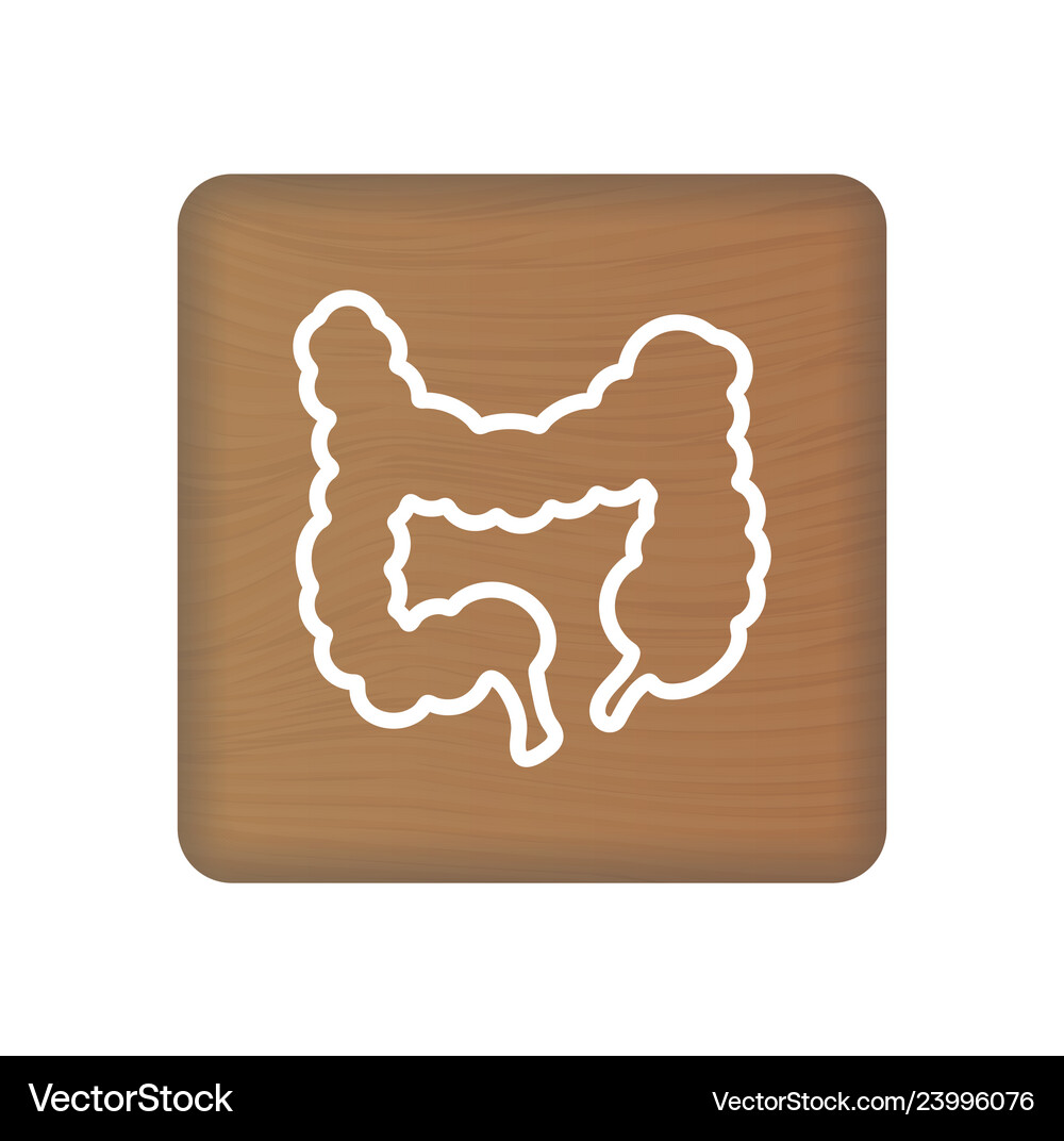 Human intestine icon an internal organ Royalty Free Vector