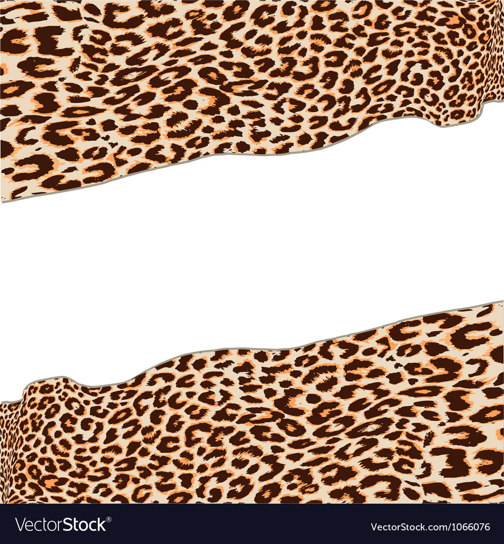 Leopard texture Royalty Free Vector Image - VectorStock