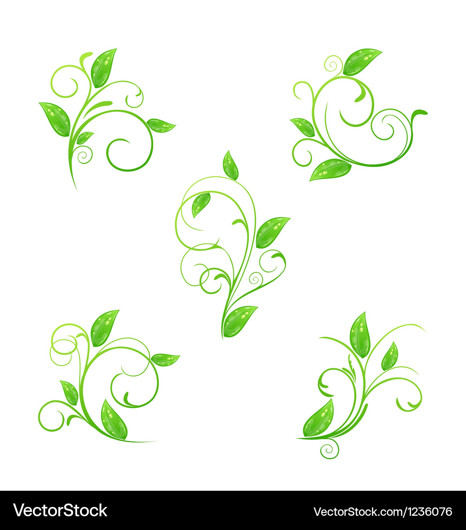Set green floral elements with eco leaves isolated