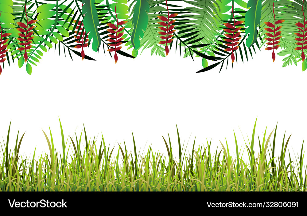 Green grass and plant on white background Vector Image