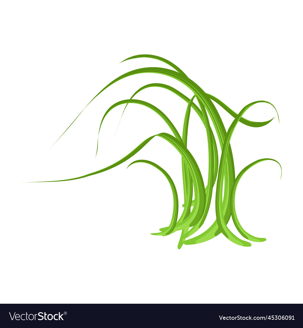 Sod Royalty Free Vector Image - VectorStock