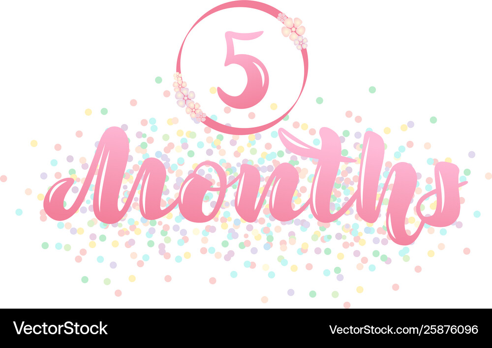 Baby age marker - 5 months Royalty Free Vector Image