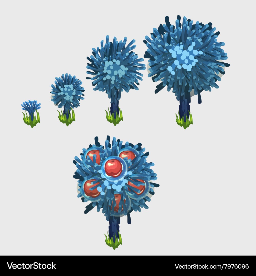 Growth stages of blue Apple tree with red fruit Vector Image