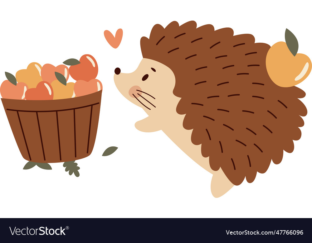 Hedgehog with apples Royalty Free Vector Image