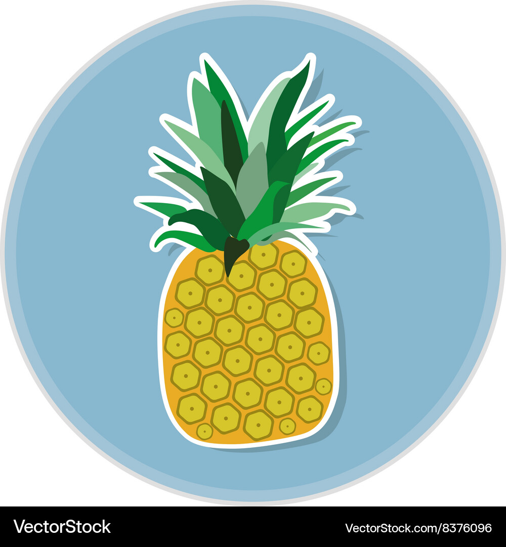 Pineapple flat Royalty Free Vector Image - VectorStock