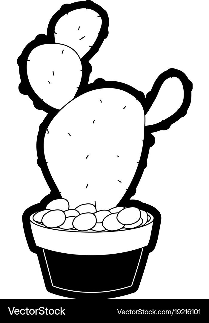 Cactus in the potted Royalty Free Vector Image
