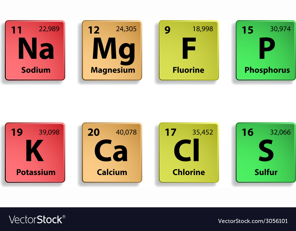 Major dietary elements Royalty Free Vector Image