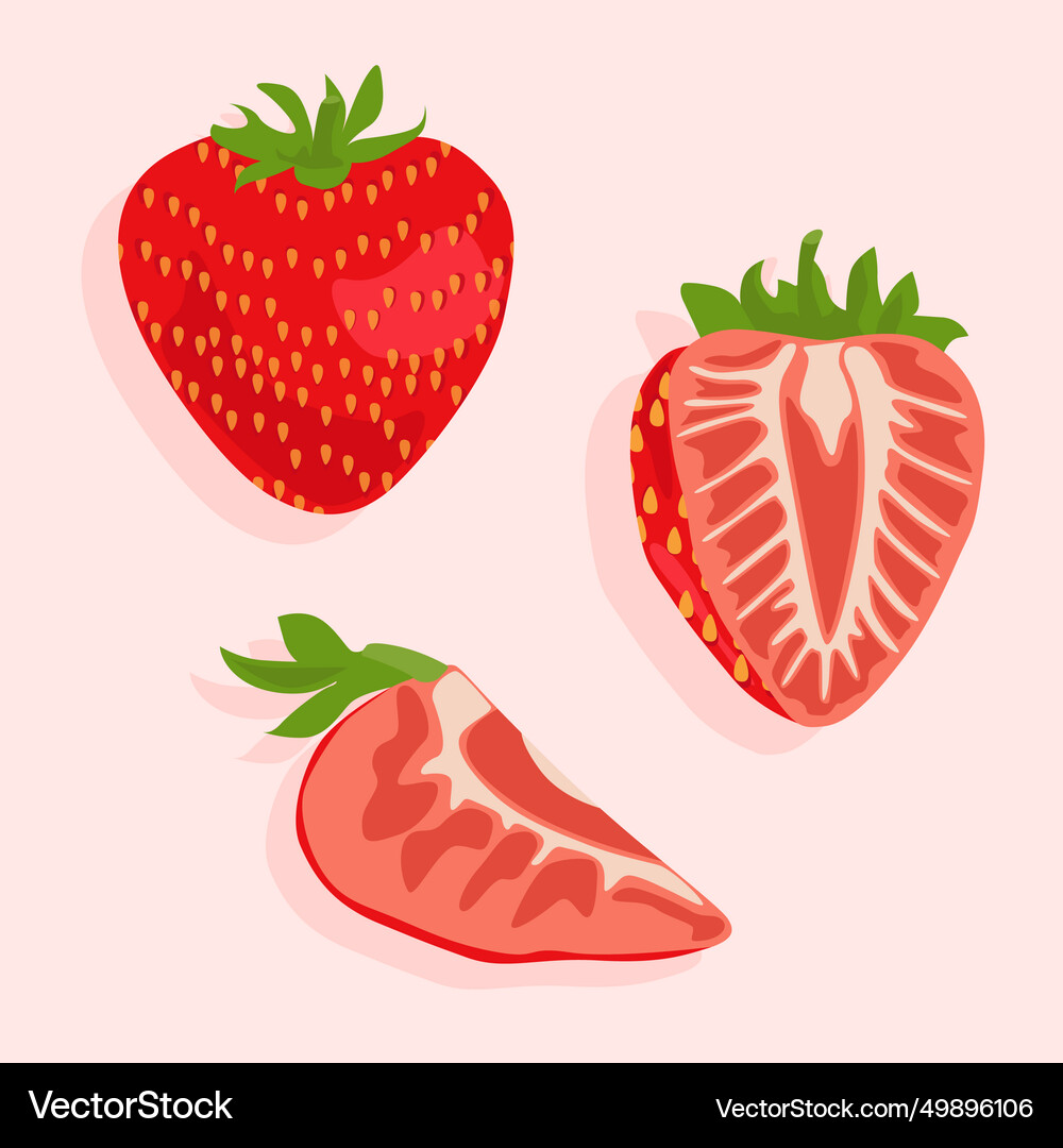 Whole juicy strawberries and cut Royalty Free Vector Image