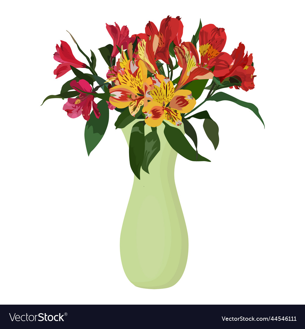 Alstroemeria tropical flower peruvian lily Vector Image