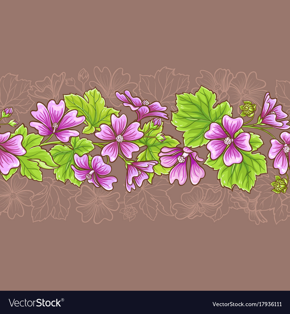 Malva pattern Royalty Free Vector Image - VectorStock