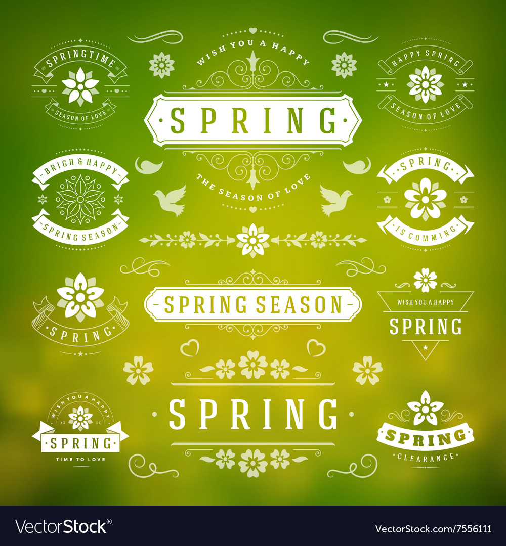 Spring typographic design set retro and vintage Vector Image