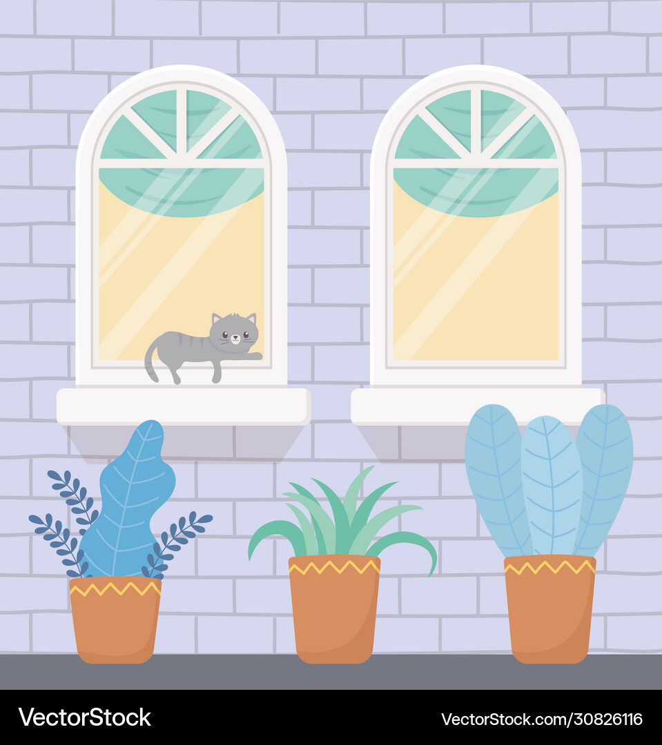 Stay at home facade building cat in window Vector Image
