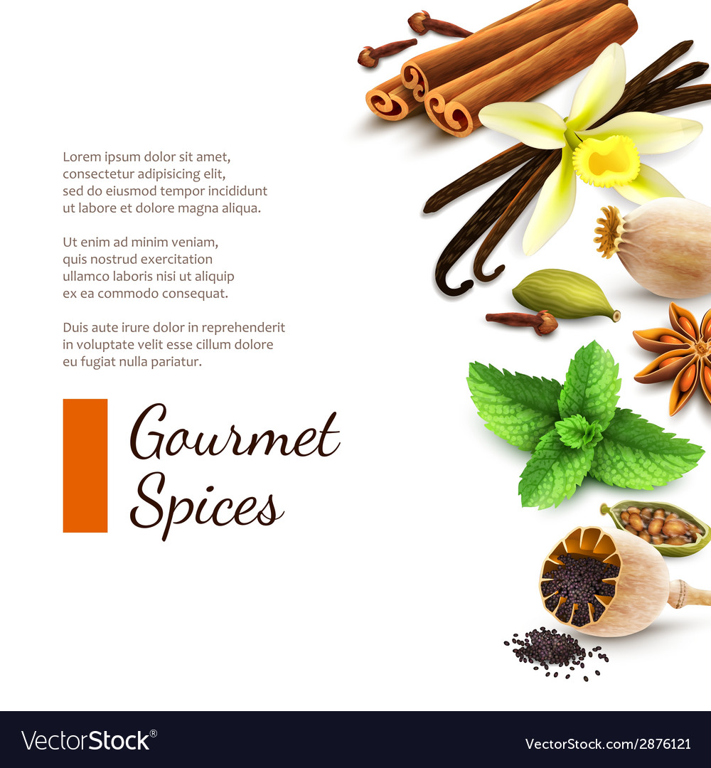 Spices on white background Royalty Free Vector Image