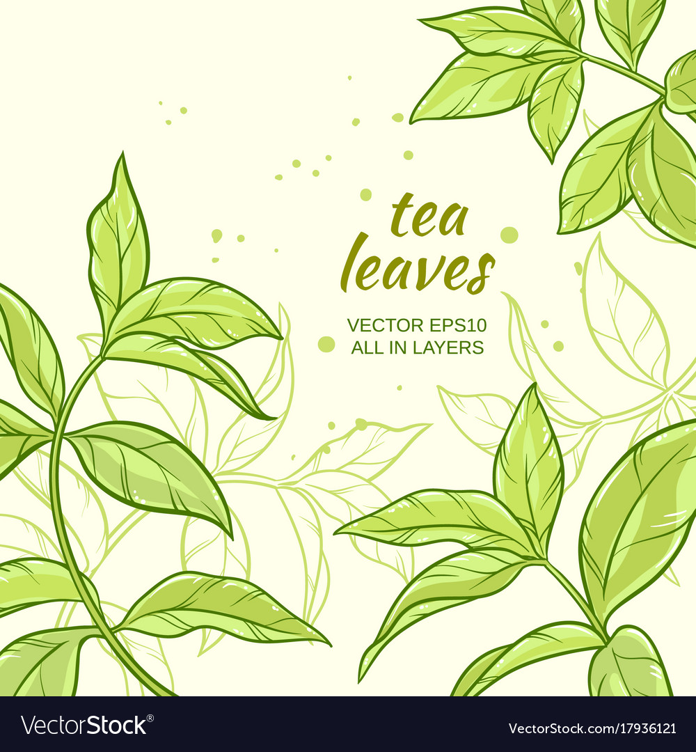 Tea leaves background Royalty Free Vector Image