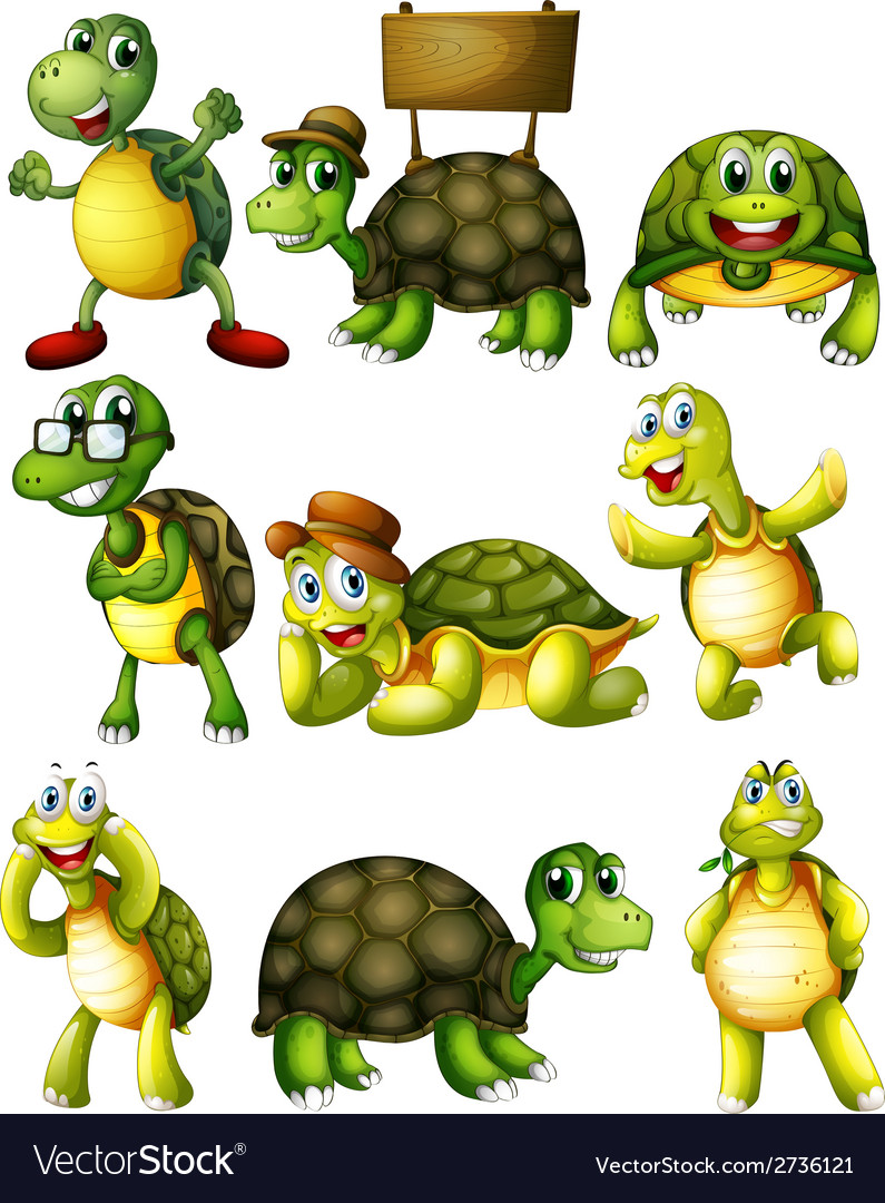 Turtle actions Royalty Free Vector Image - VectorStock