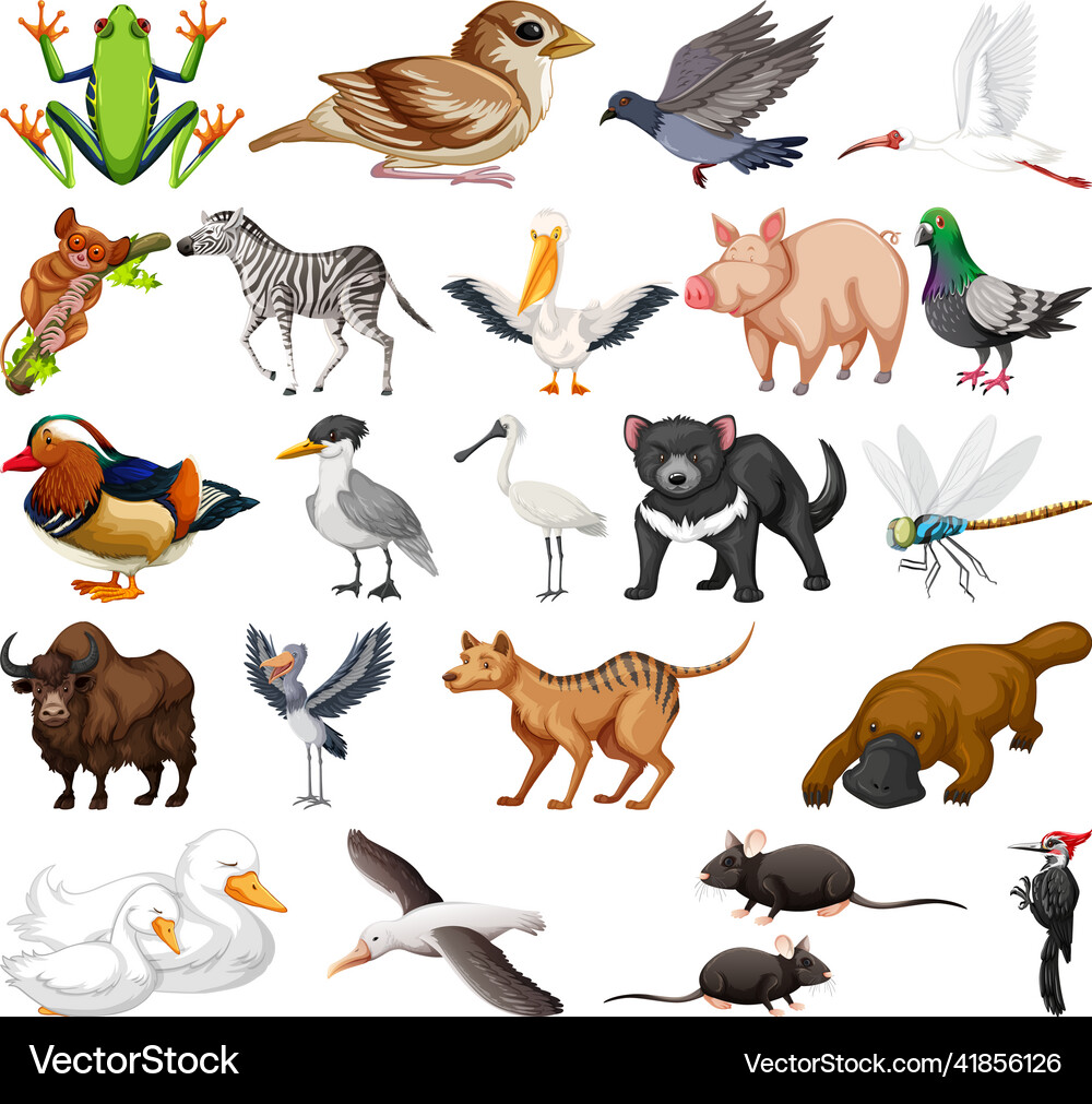 Different kinds of animals collection Royalty Free Vector