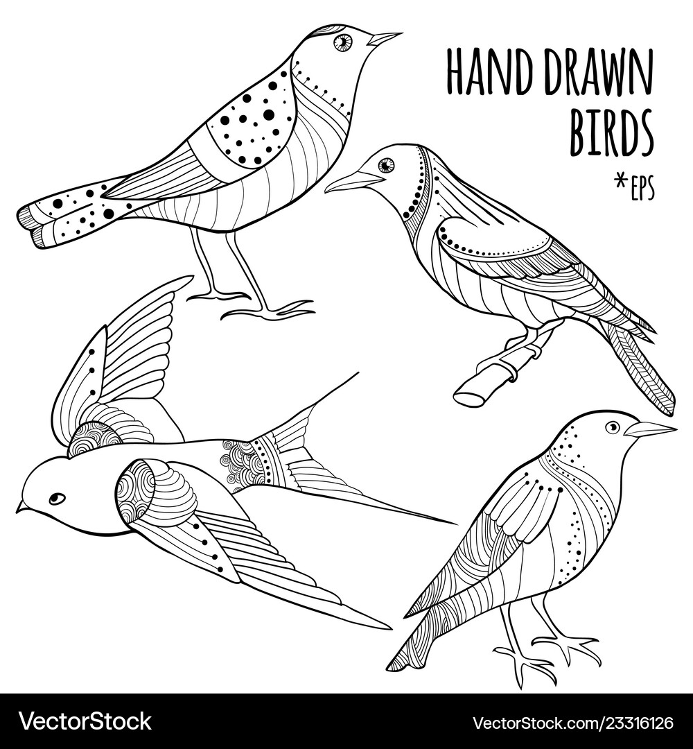 Set of hand drawn birds Royalty Free Vector Image