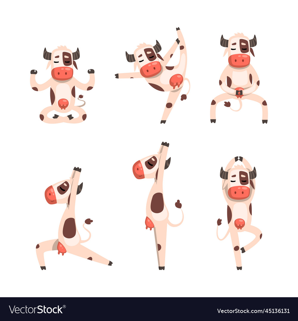 Funny spotted cow character doing yoga standing Vector Image