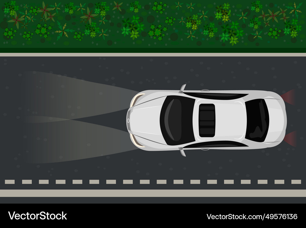 Car drive on road at night Royalty Free Vector Image