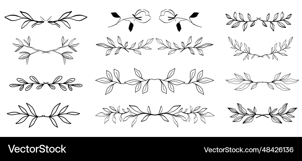 Floral dividers set hand drawn leaf borders decor Vector Image