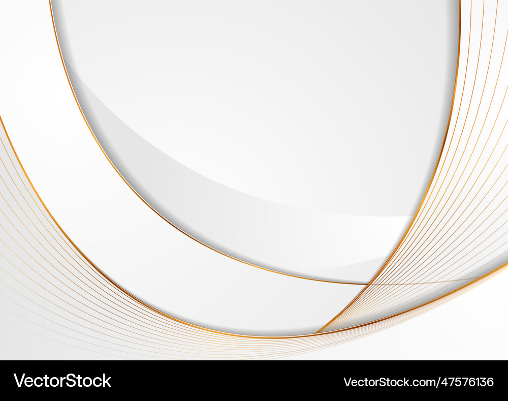 Grey waves and golden curved lines abstract Vector Image