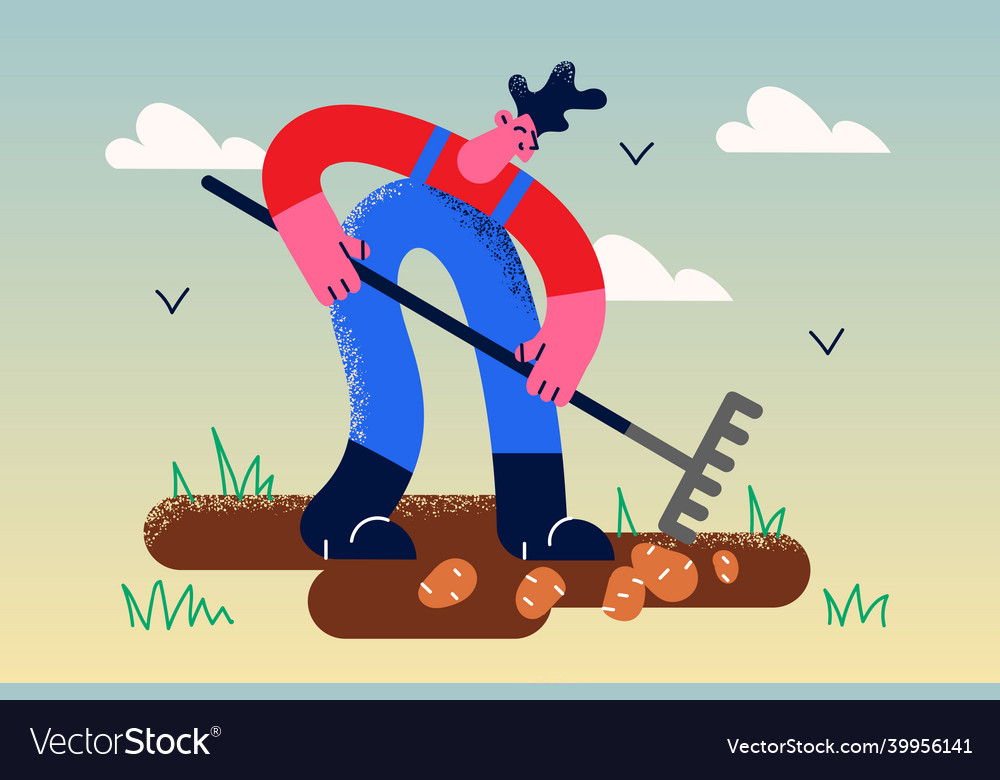 Growing potato and farming concept Royalty Free Vector Image