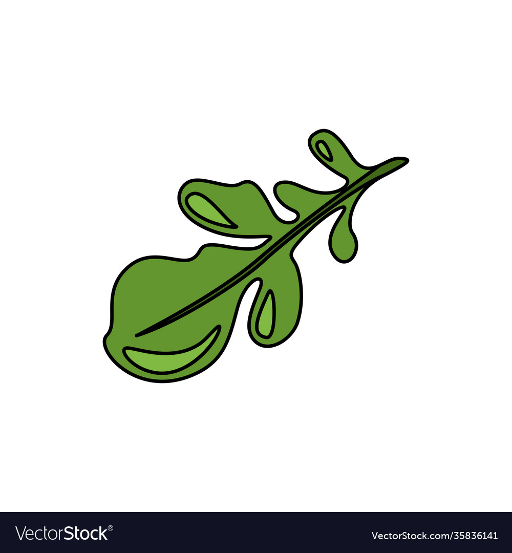 Leaf flat Royalty Free Vector Image - VectorStock