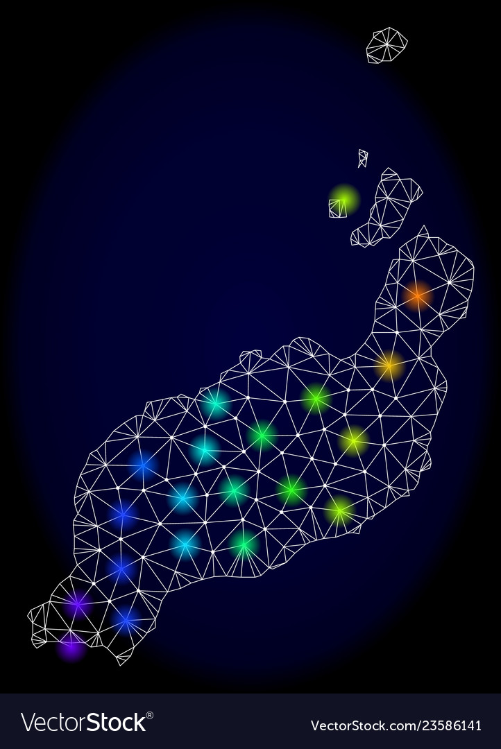 Polygonal network mesh map of lanzarote islands Vector Image