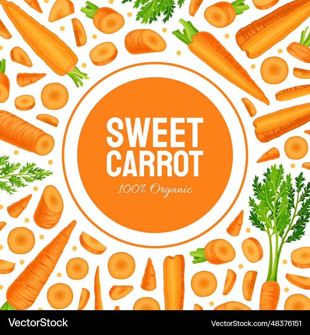 Bright carrot vegetable and crop banner design Vector Image