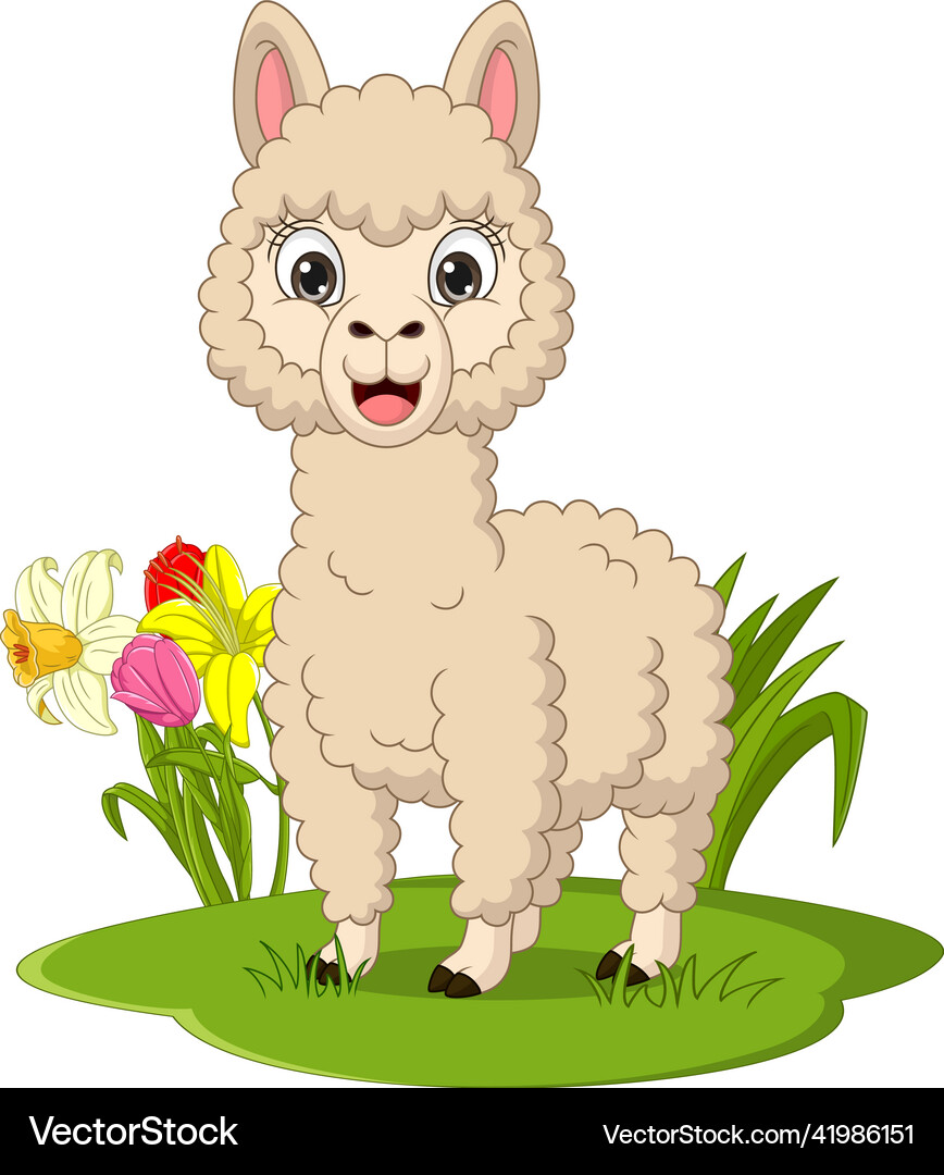Cute llama cartoon in the grass Royalty Free Vector Image
