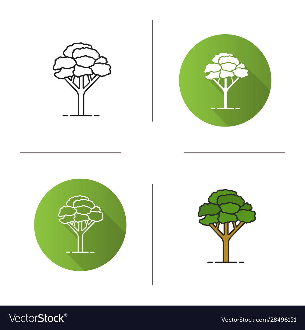Maple tree icon Royalty Free Vector Image - VectorStock