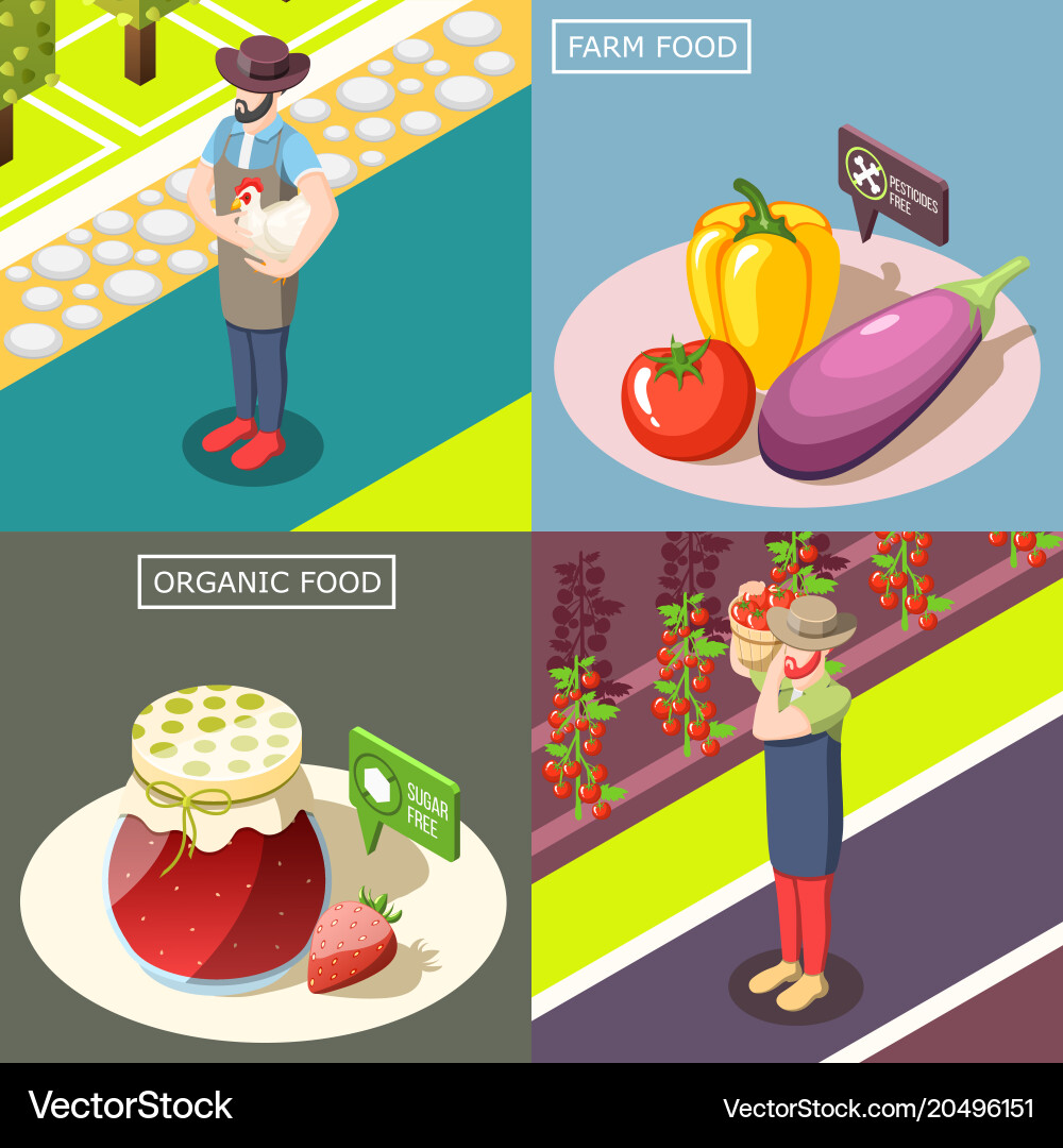Organic food isometric design concept Royalty Free Vector