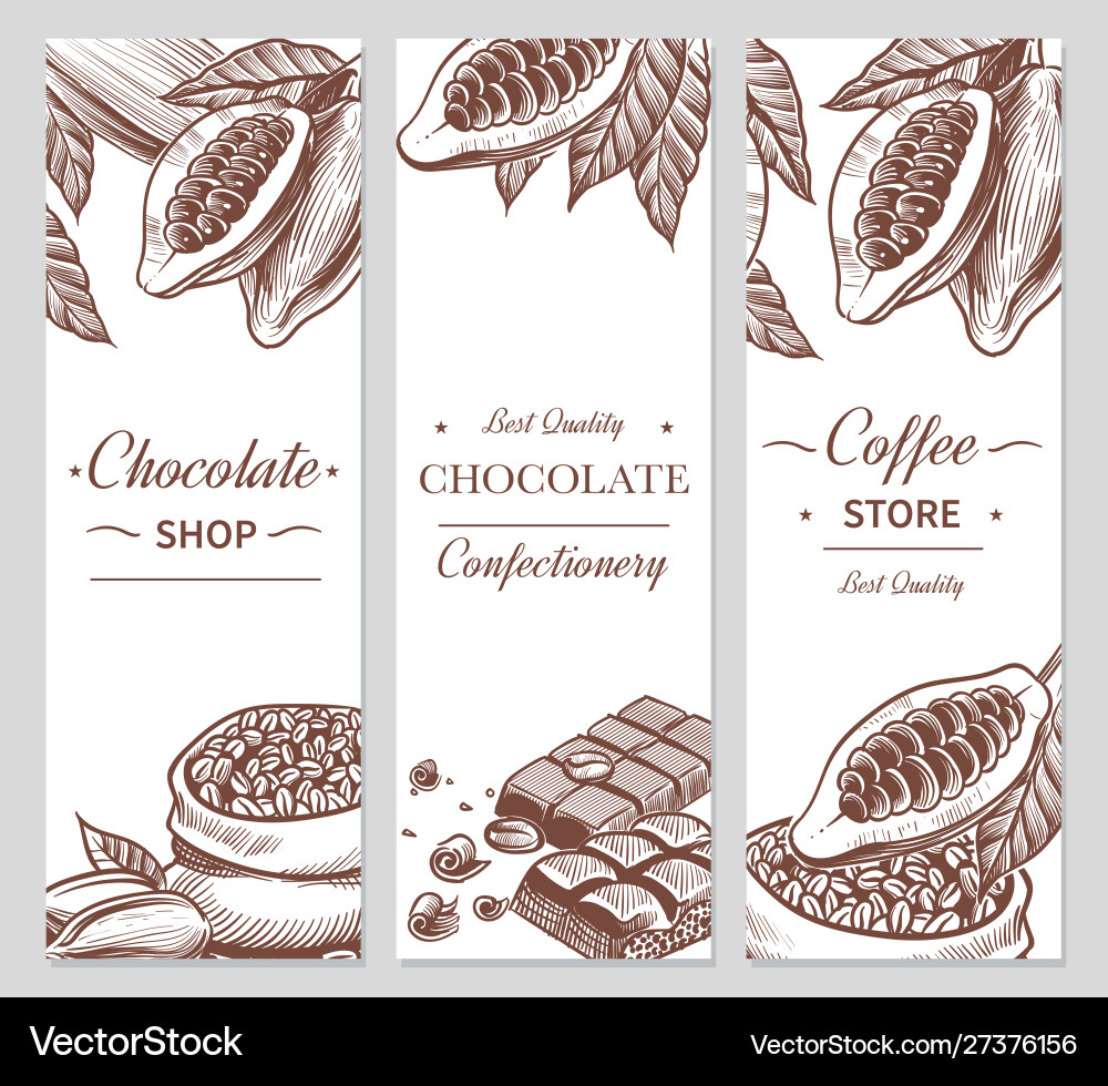 Cocoa and chocolate banners sketch cacao Vector Image