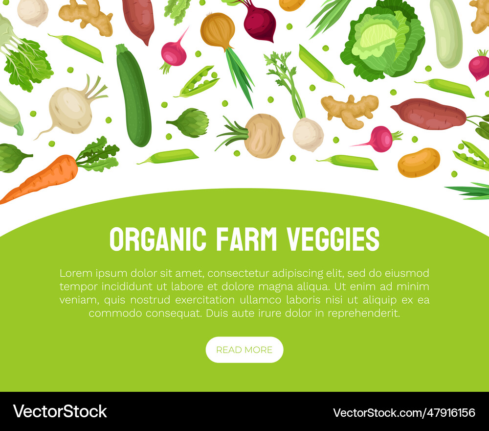 Fresh organic vegetables banner design Royalty Free Vector