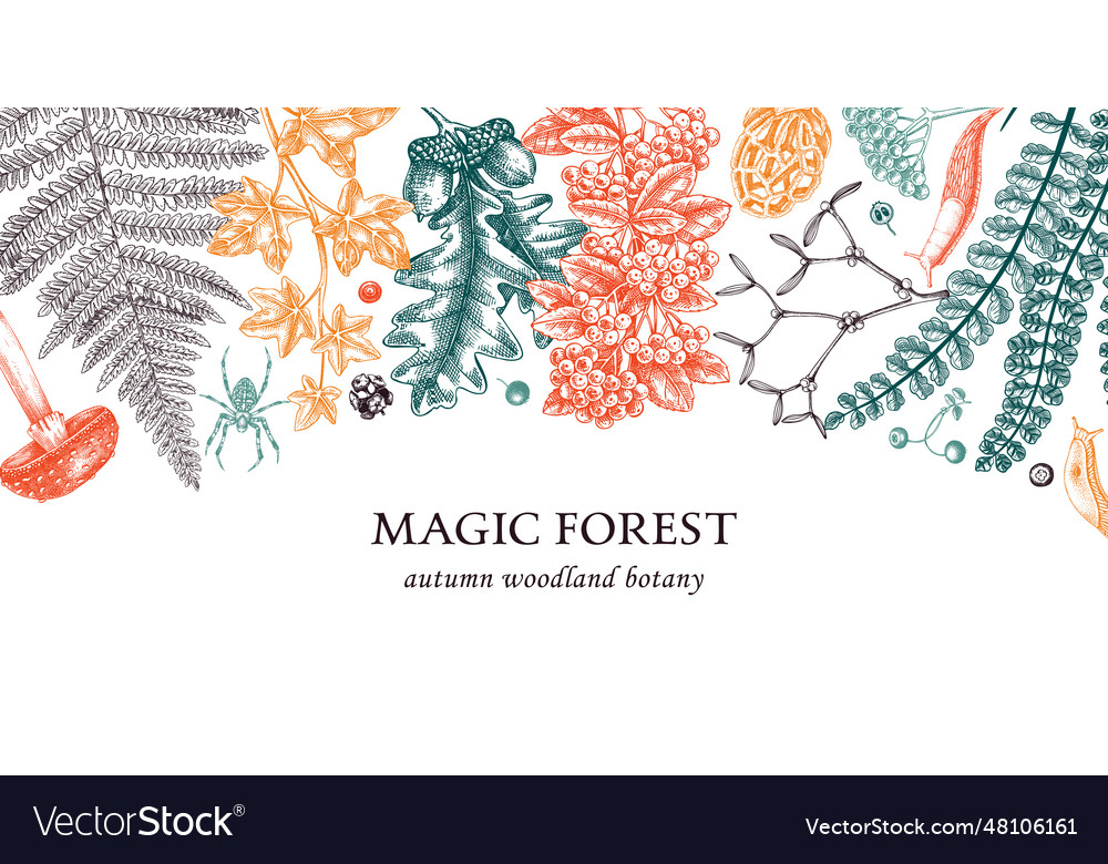 Border with ferns mushrooms fall leaves Royalty Free Vector