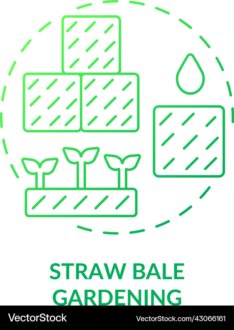 Straw bale gardening green gradient concept icon Vector Image