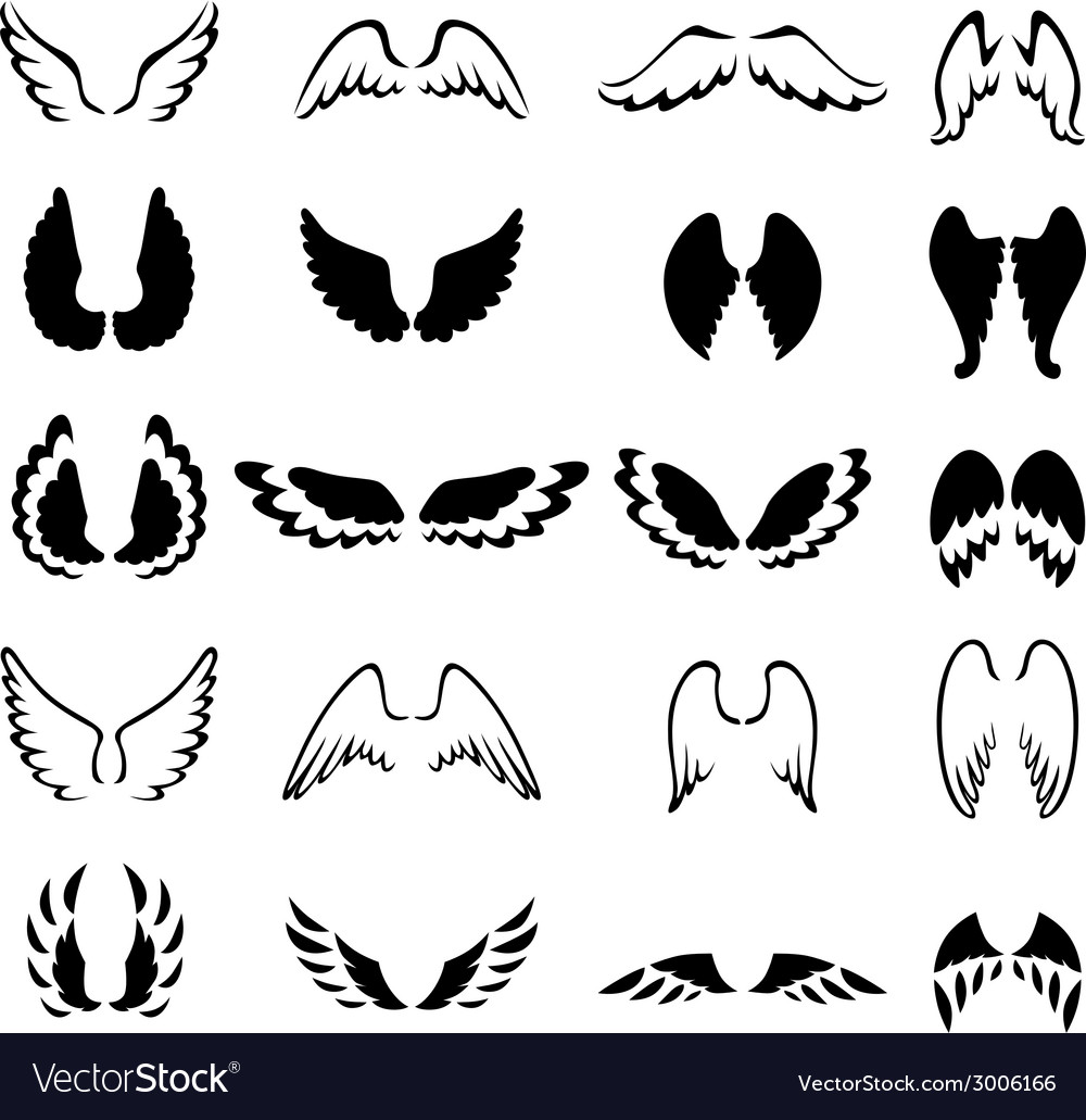 Wings set Royalty Free Vector Image - VectorStock