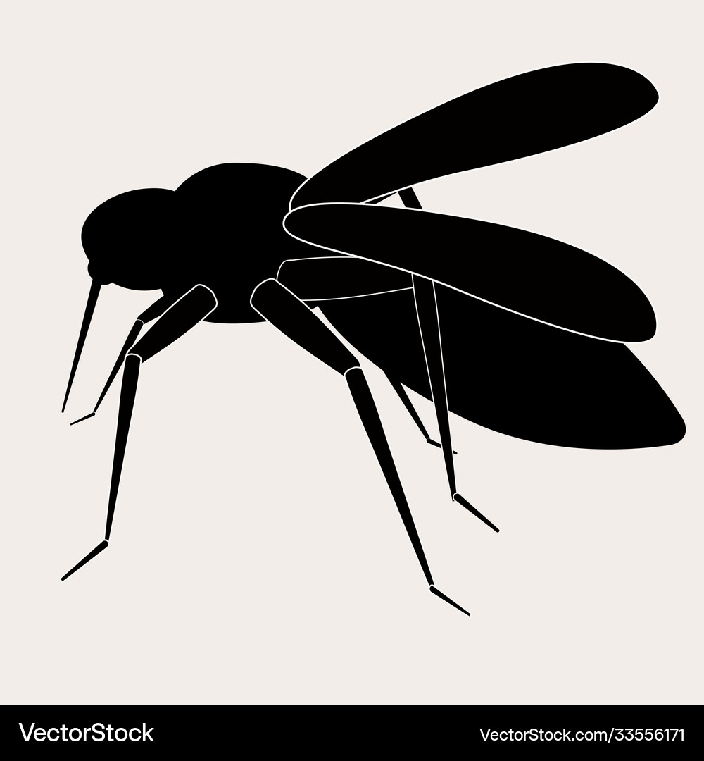 Symbolic black-and-white image a mosquito Vector Image
