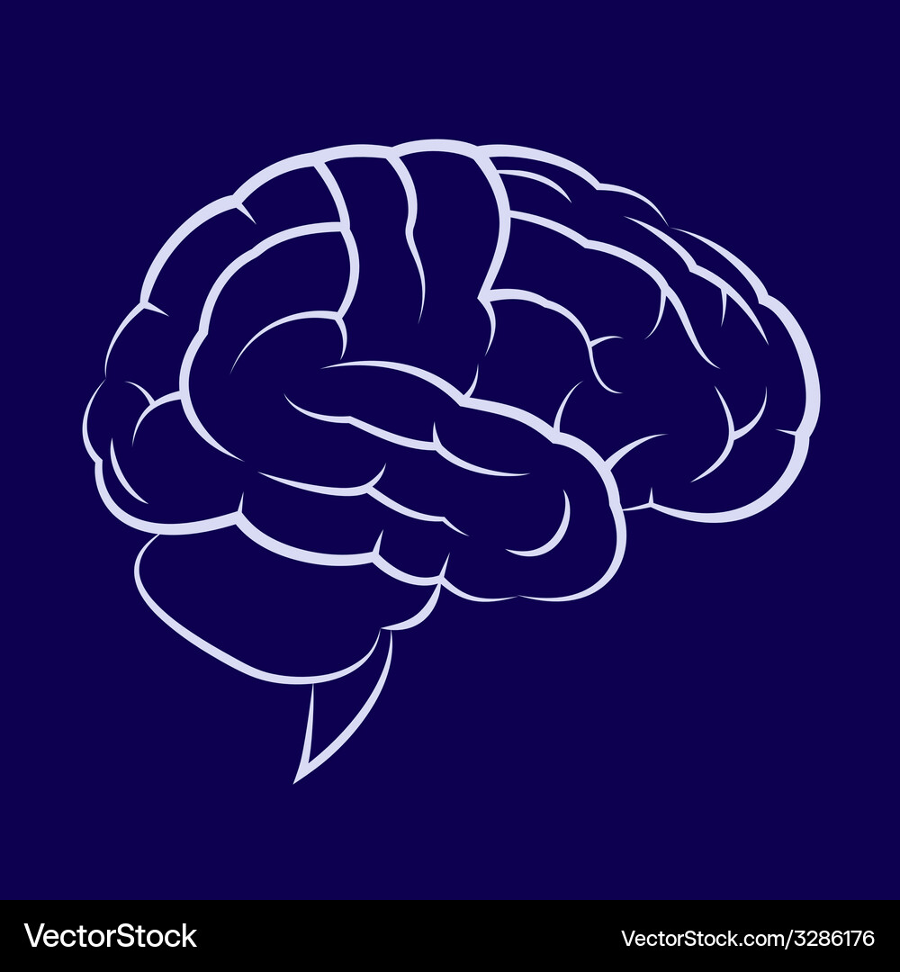 Symbol of the human brain Royalty Free Vector Image