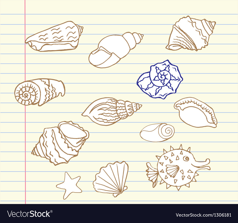 Notebook set with cockleshell Royalty Free Vector Image